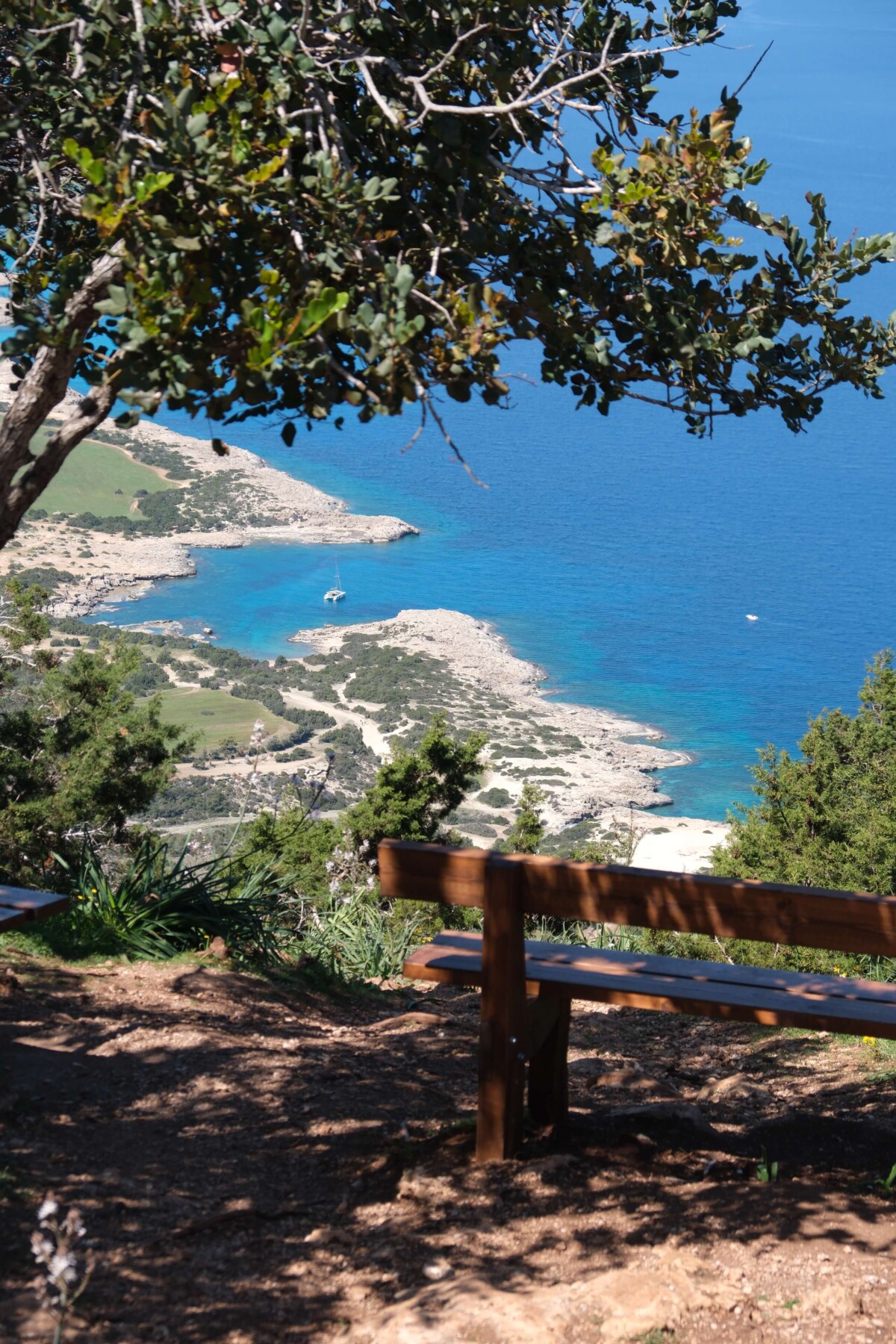 8 Top Tours And Activities For Your Ultimate Holiday To Paphos